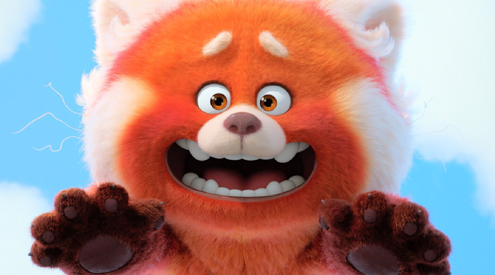 RED, la película de Disney y Pixar, llega a los cines | XIAHPOP